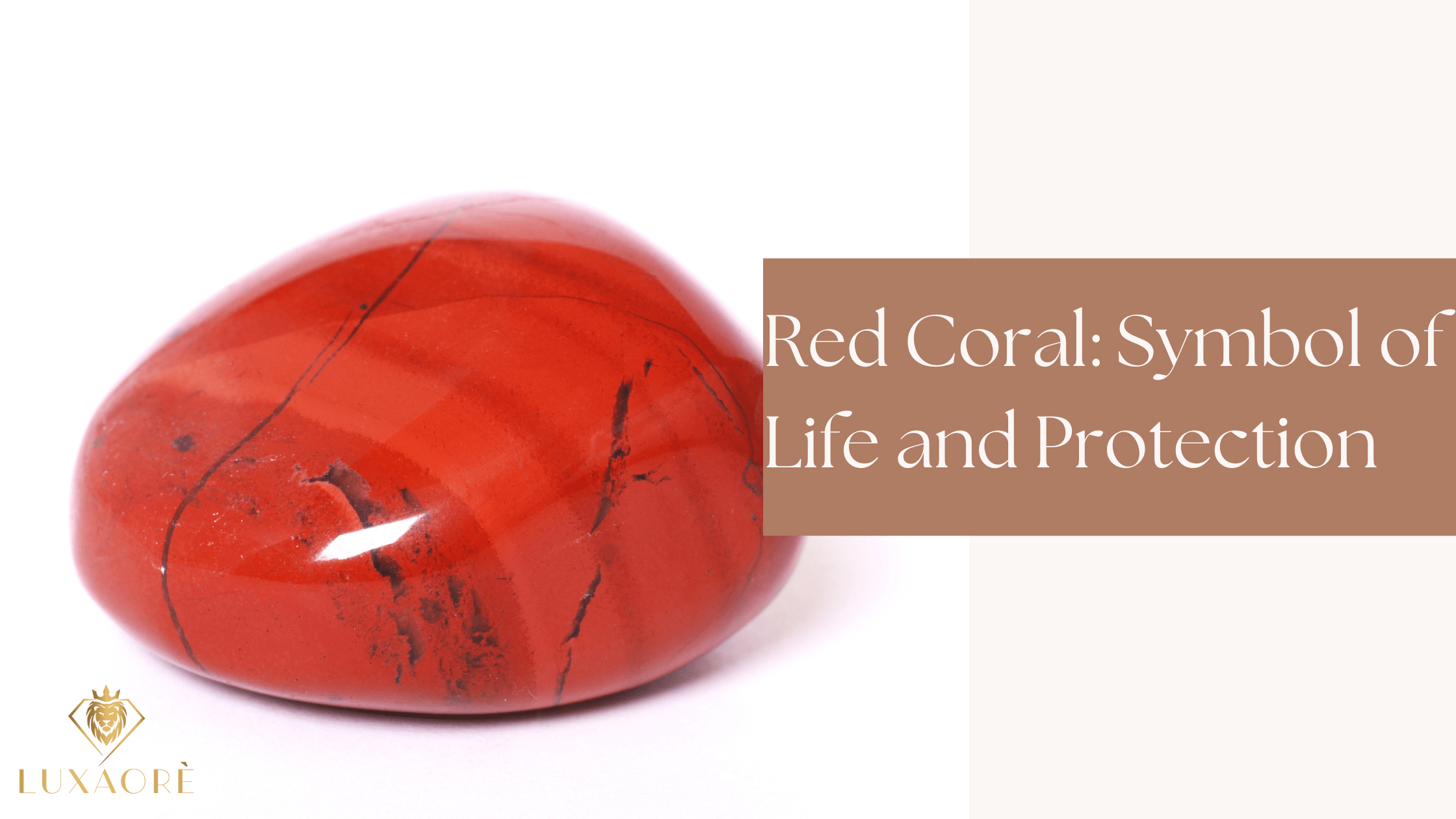 Red Coral: Stone of Energy and Strength- Luxaore